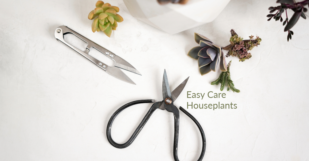 Understanding the Different Types of Pruning Shears - Easy Care Houseplants